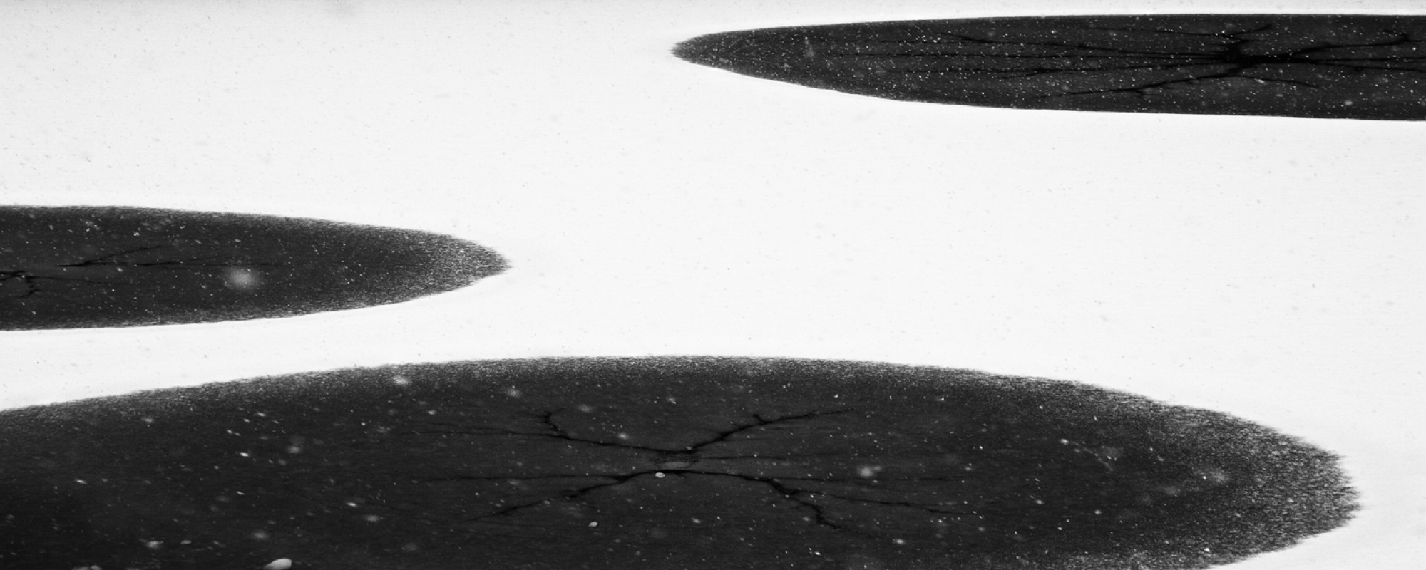 정정호 작가 > BOGGLE MANSION