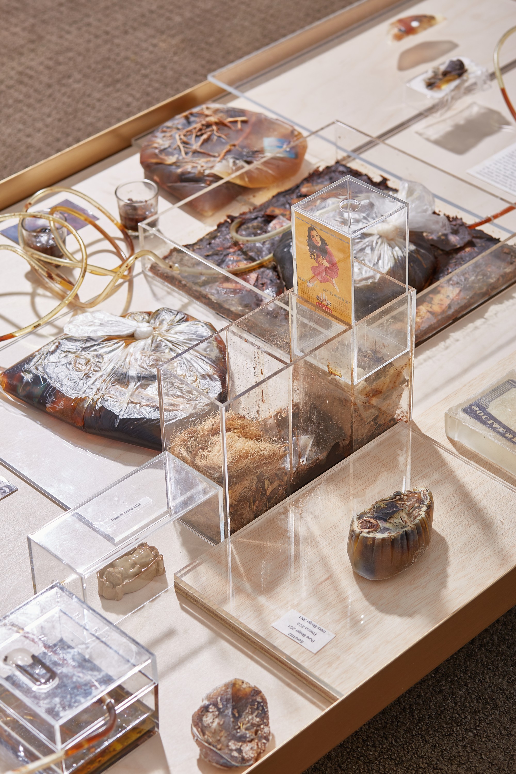 유해나 작가 > BOGGLE MANSION